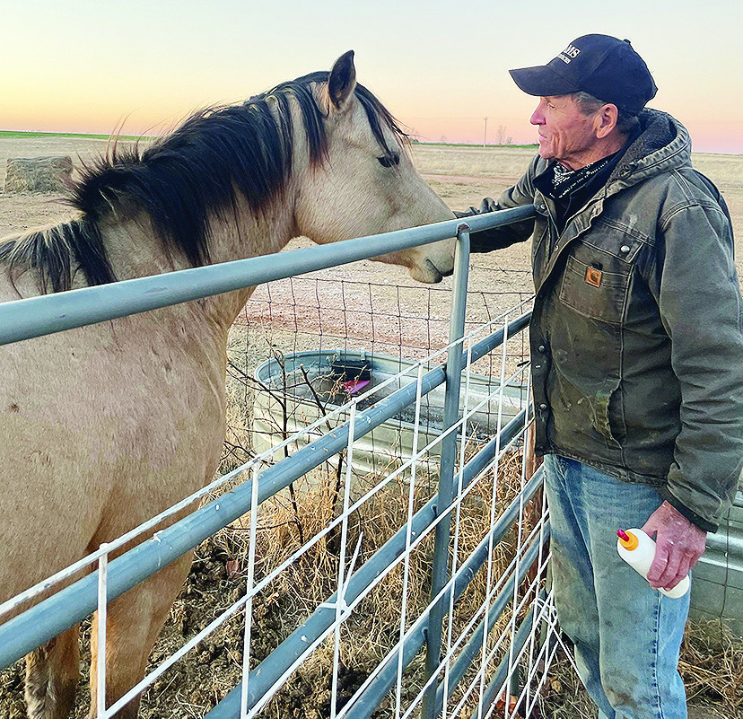 Adams’ life turns full circle from education to ranch work | Clinton ...