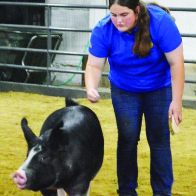 Show pig | Clinton Daily News